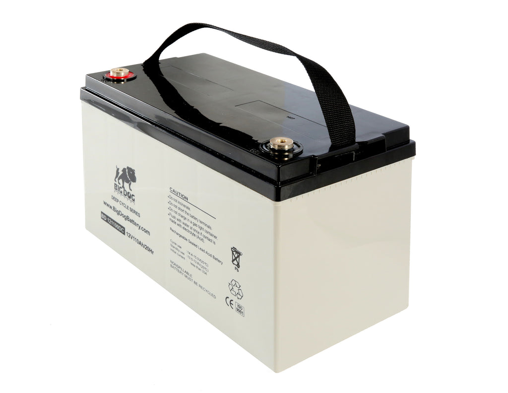 Big Dog 121100 – Big Dog Battery